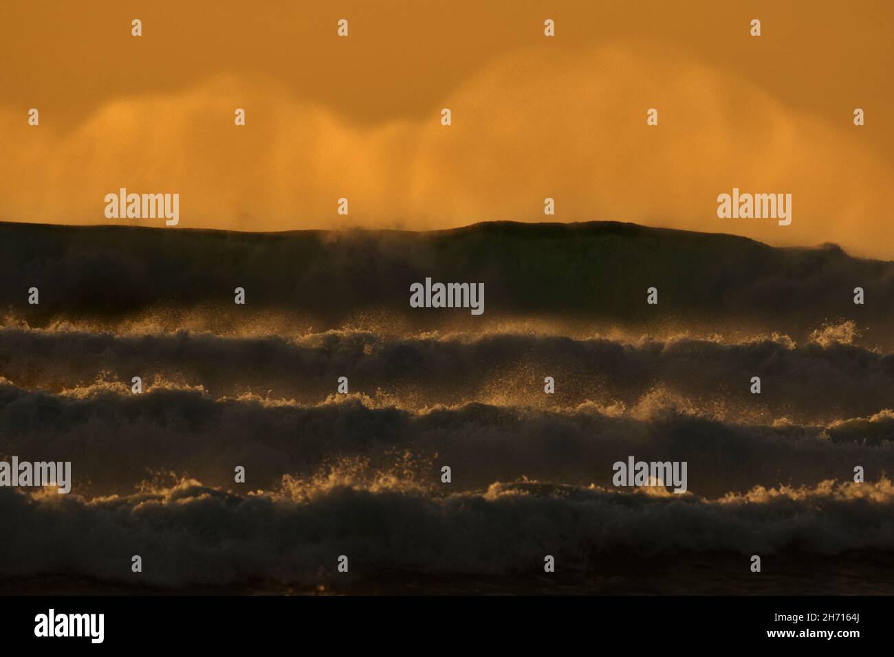 Backlit waves and spindrift, Skaill Bay, Orkney Isles Stock Photo - Alamy