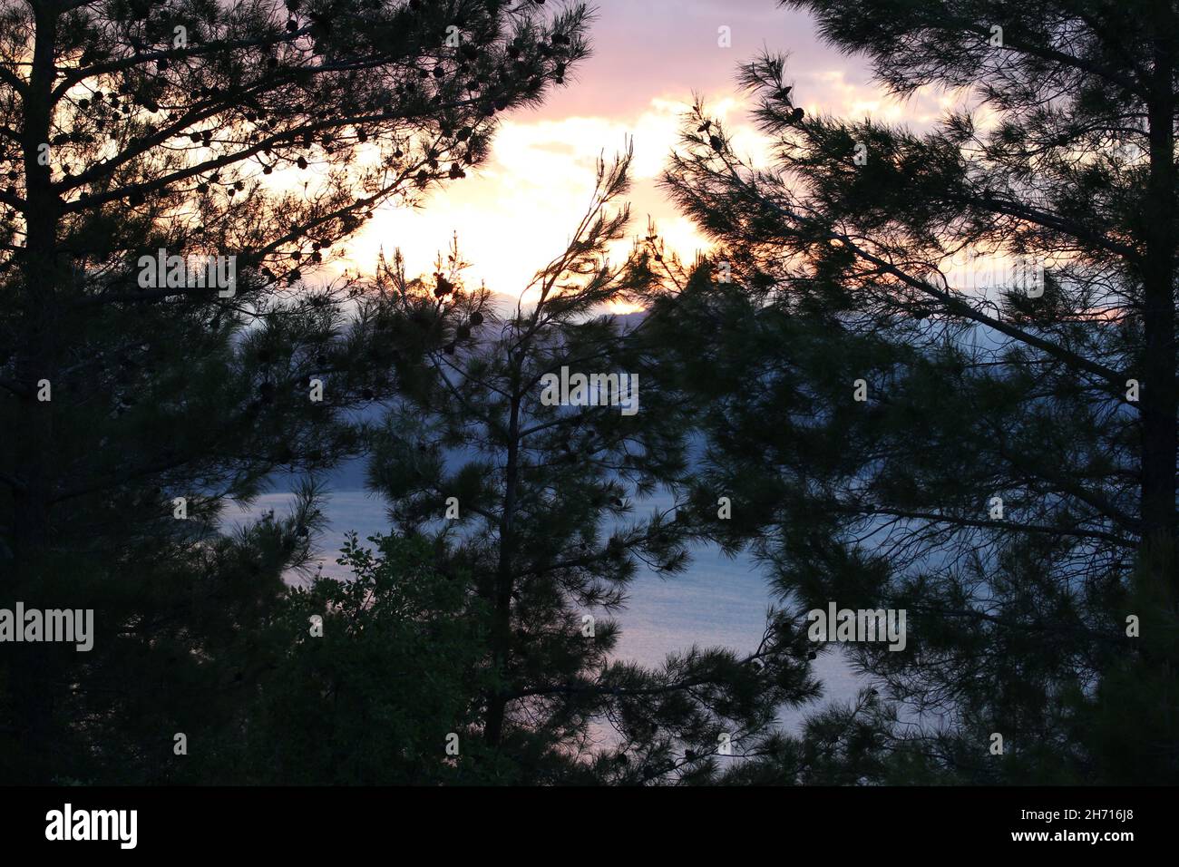 Sunset through pine trees lake hi-res stock photography and images - Alamy