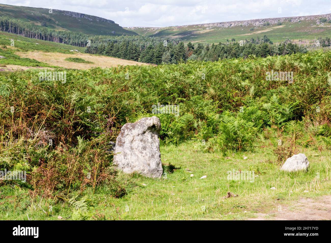 A rock and ferns before the beautiful Peak District moorland landscape ...