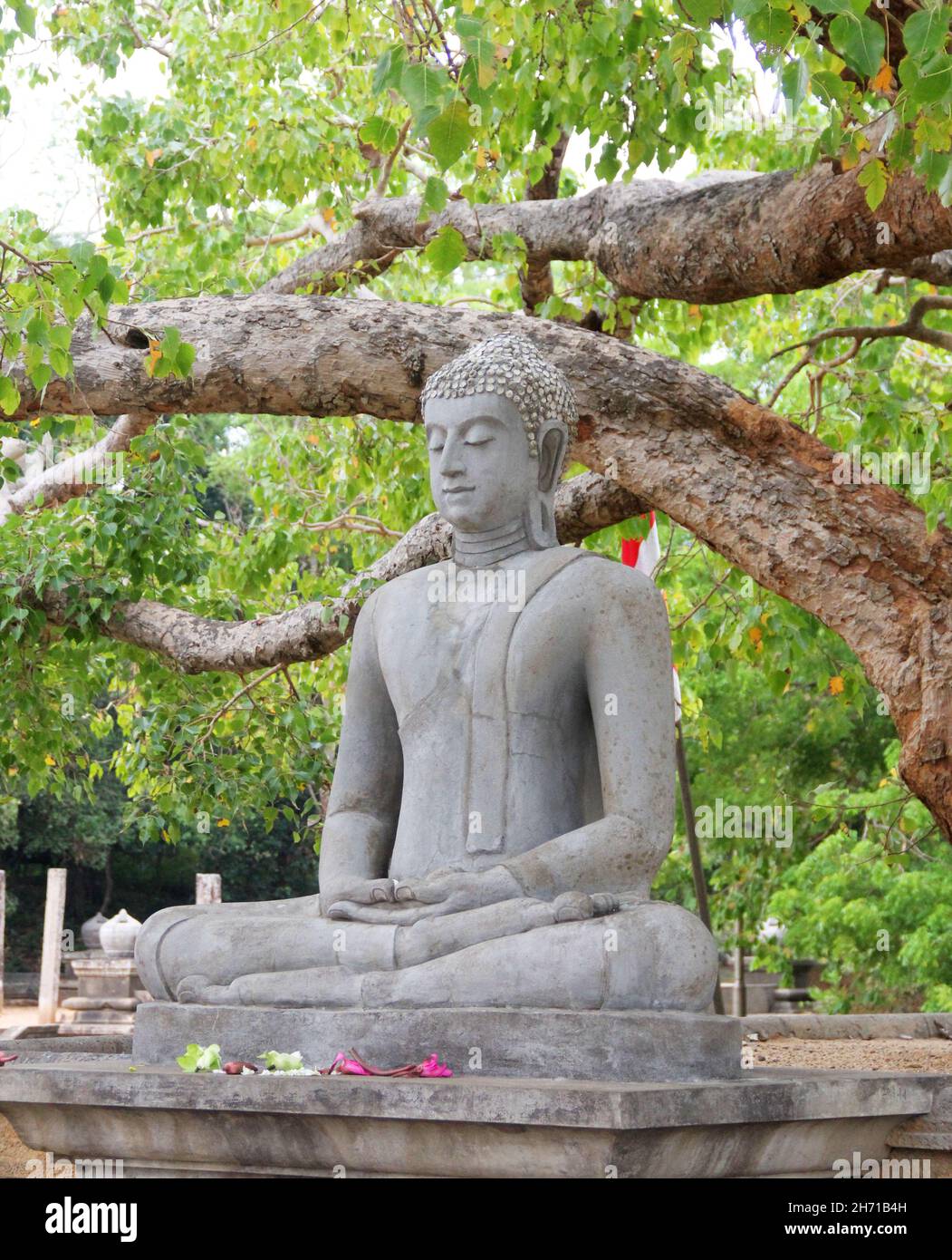 A Buddha statue at the Ruwanweliseya maha stupa in the ancient city of ...