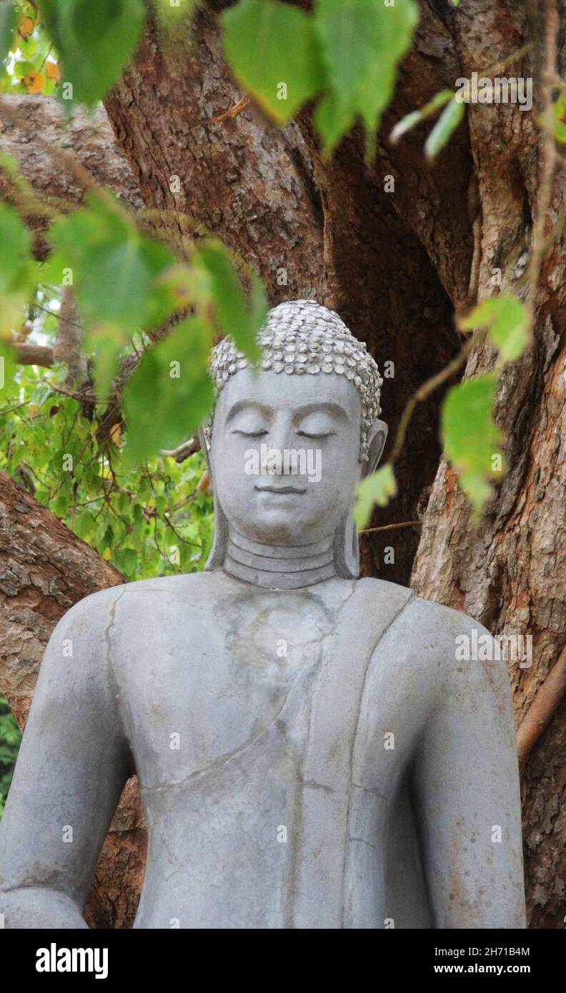 A Buddha statue at the Ruwanweliseya maha stupa in the ancient city of ...