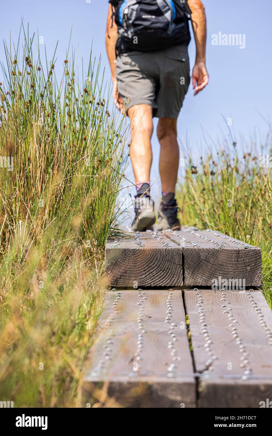 Female hiker walking on railway sleeper walkway over bog on the Spinc ...