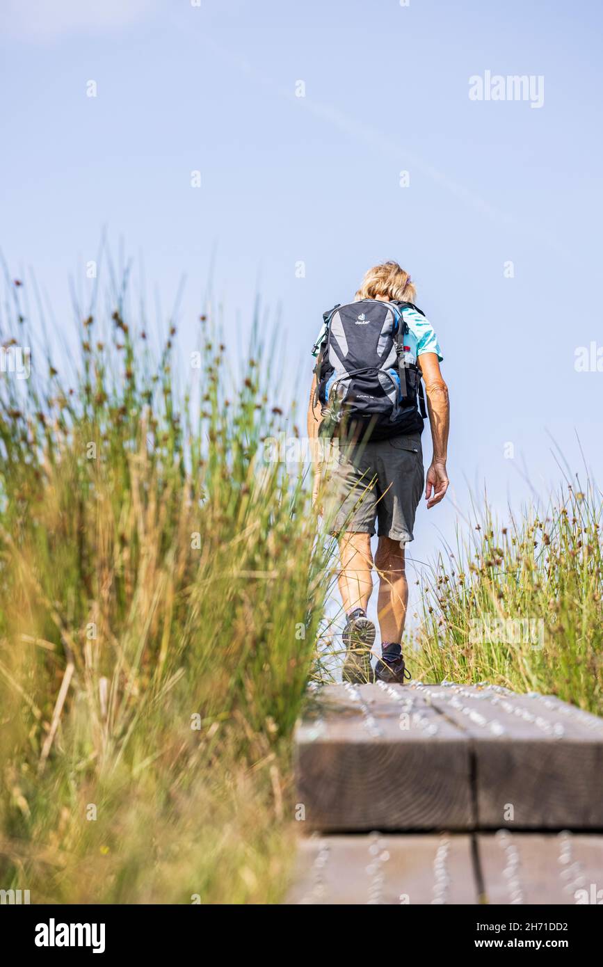 Female hiker walking on railway sleeper walkway over bog on the Spinc ...