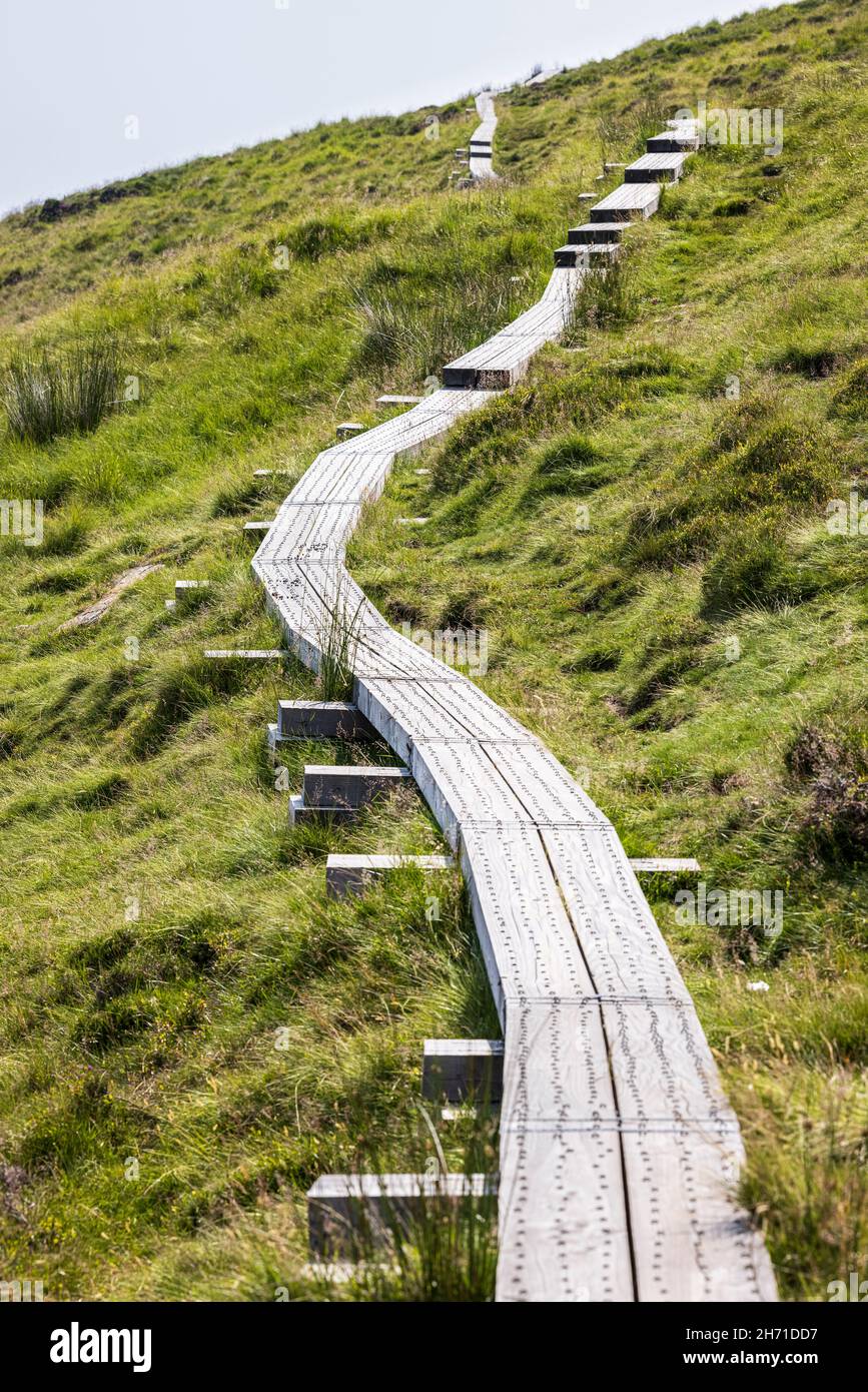 Stepped walkway made from railway sleepers and U nails for grip through ...