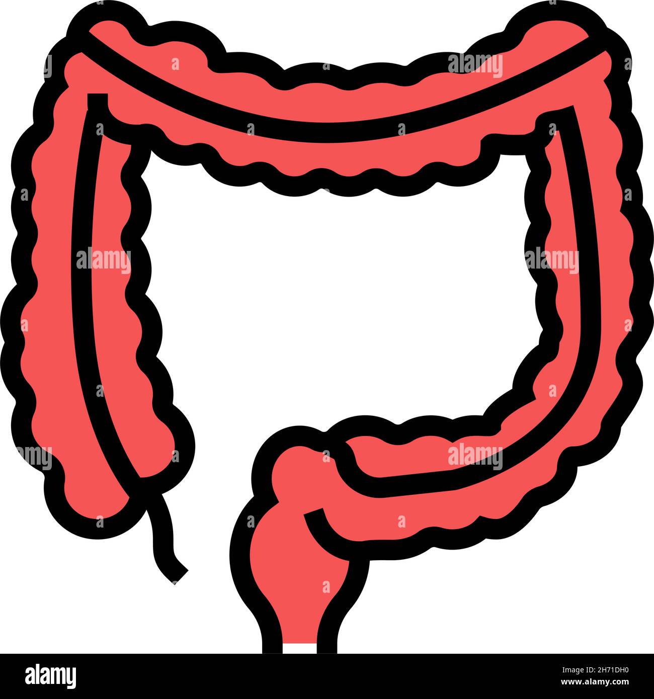 colon human organ color icon vector illustration Stock Vector Image ...
