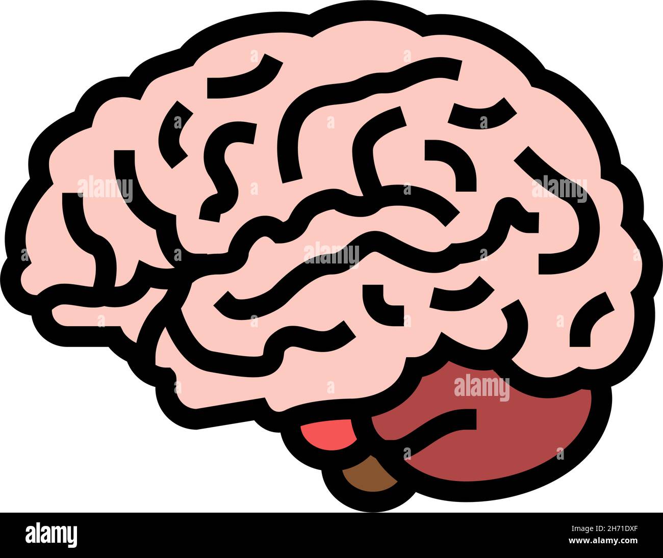 brain anatomy organ color icon vector illustration Stock Vector Image ...