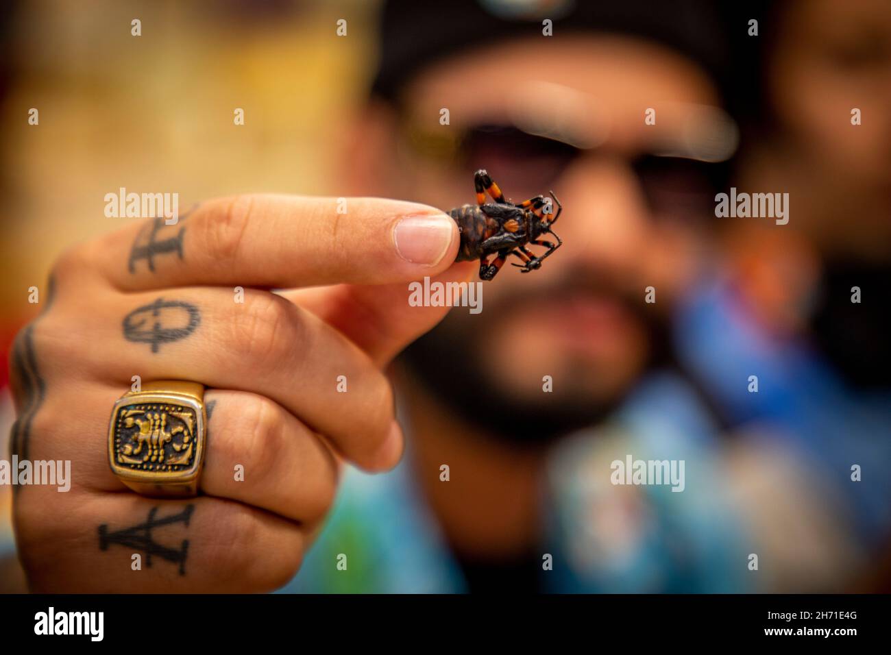 Eating insects man hi-res stock photography and images - Alamy