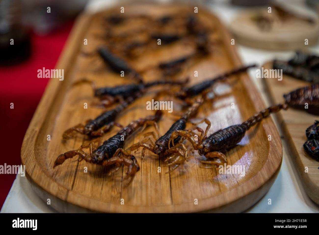 Mexiko Stadt, Mexico. 18th Nov, 2021. Scorpions are for sale in a ...