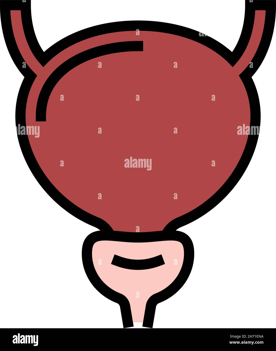 bladder human organ color icon vector illustration Stock Vector Image ...