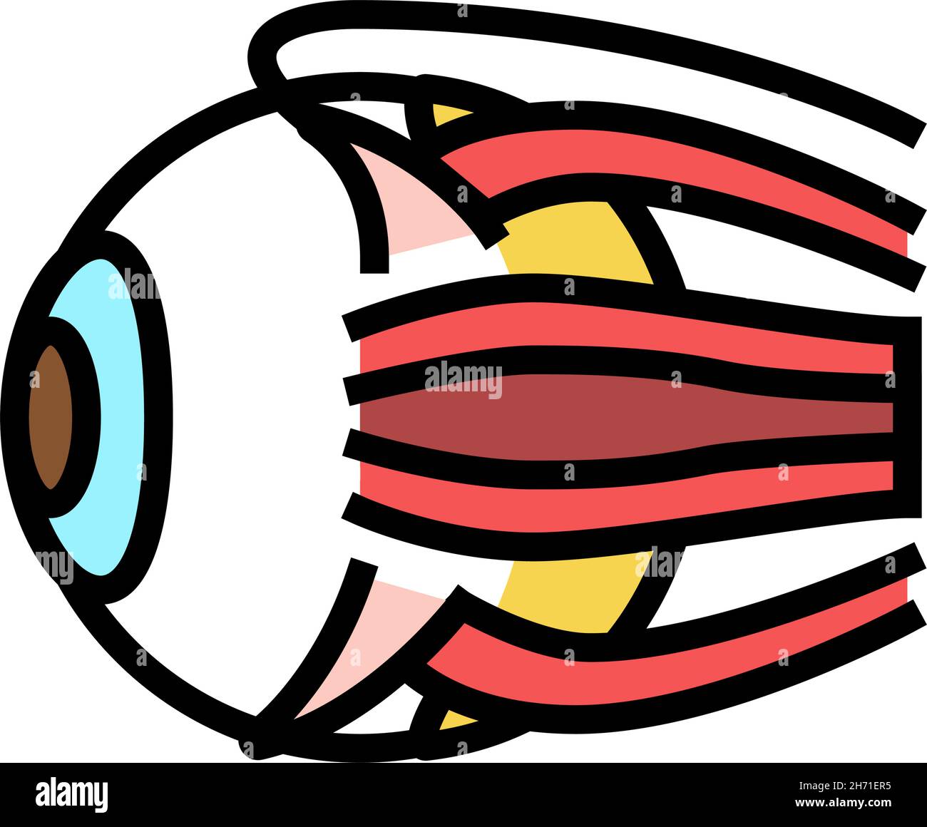 eye human organ color icon vector illustration Stock Vector Image & Art ...