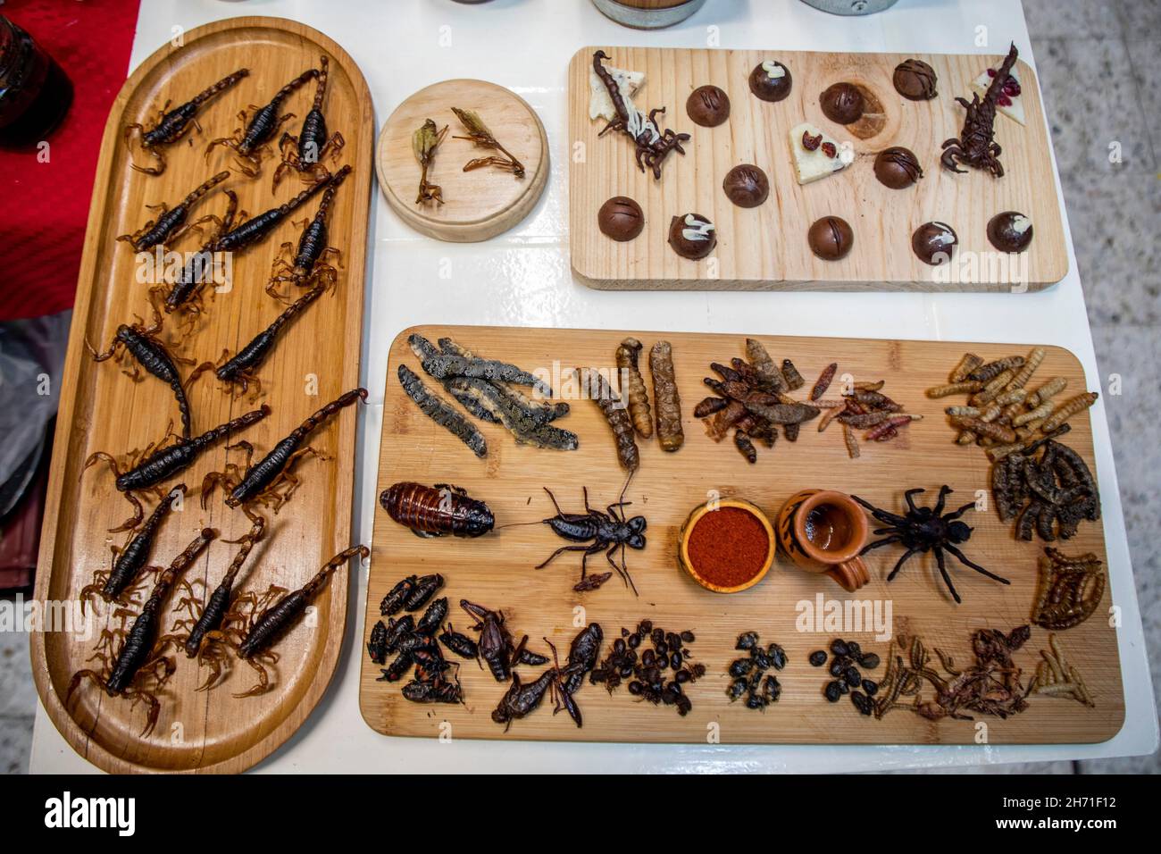 Mexican spiders hi-res stock photography and images - Alamy