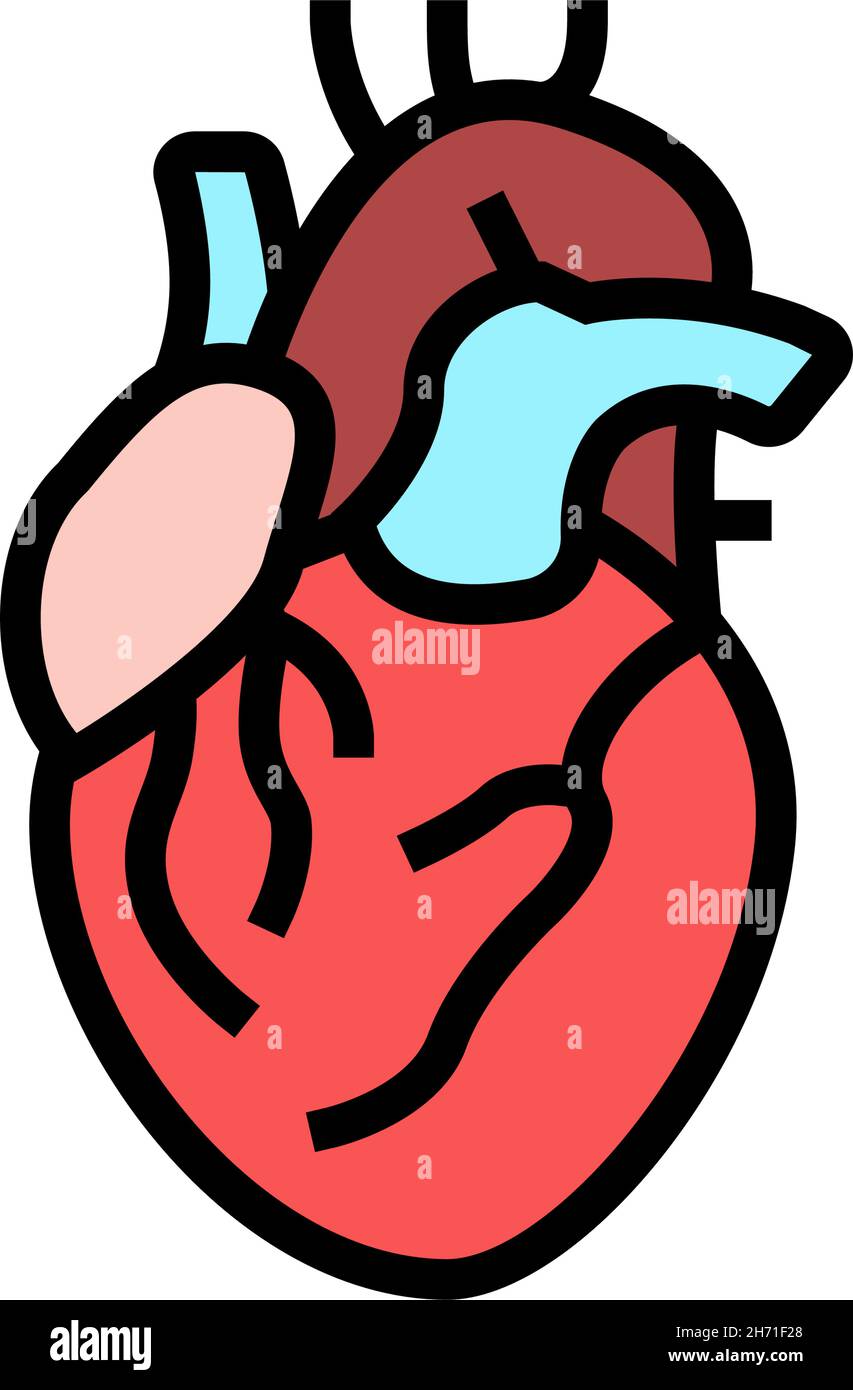 heart human organ color icon vector illustration Stock Vector Image ...