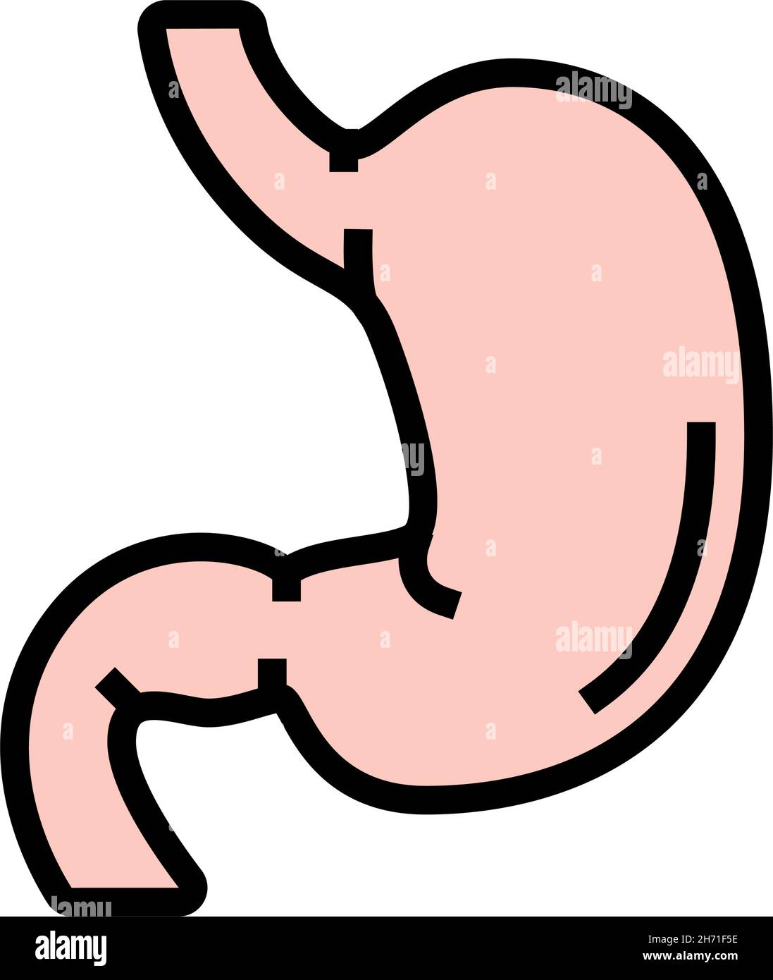 stomach human organ color icon vector illustration Stock Vector Image ...