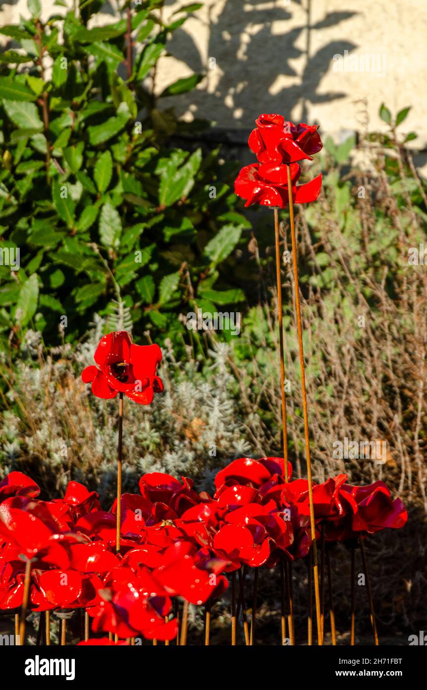 Blood Swept Lands and Seas of Red 2014 work of installation art placed ...
