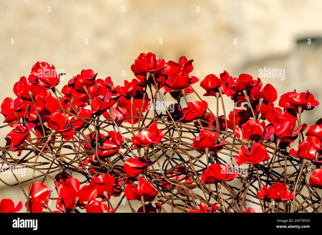 Blood Swept Lands and Seas of Red 2014 work of installation art placed ...