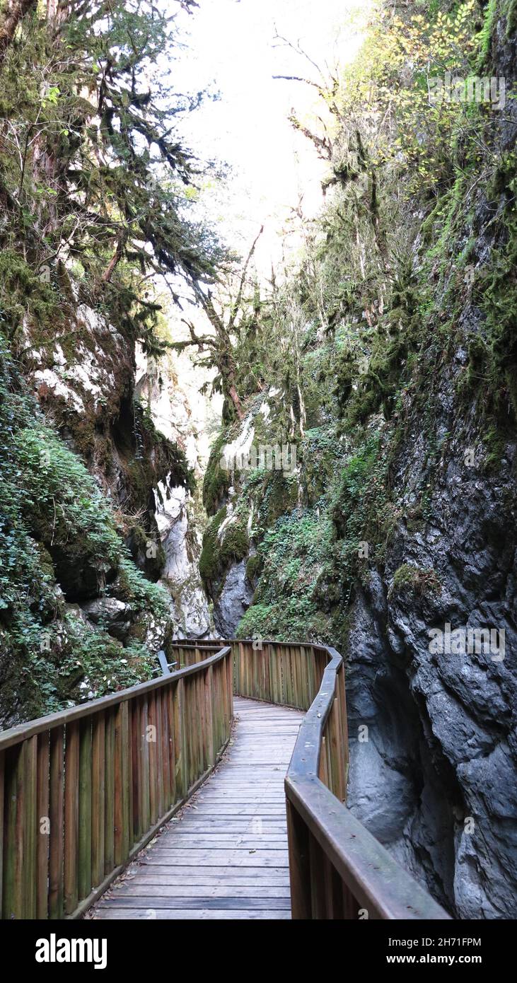 Horma Canyon is one of the many canyons in the Küre Mountains National ...