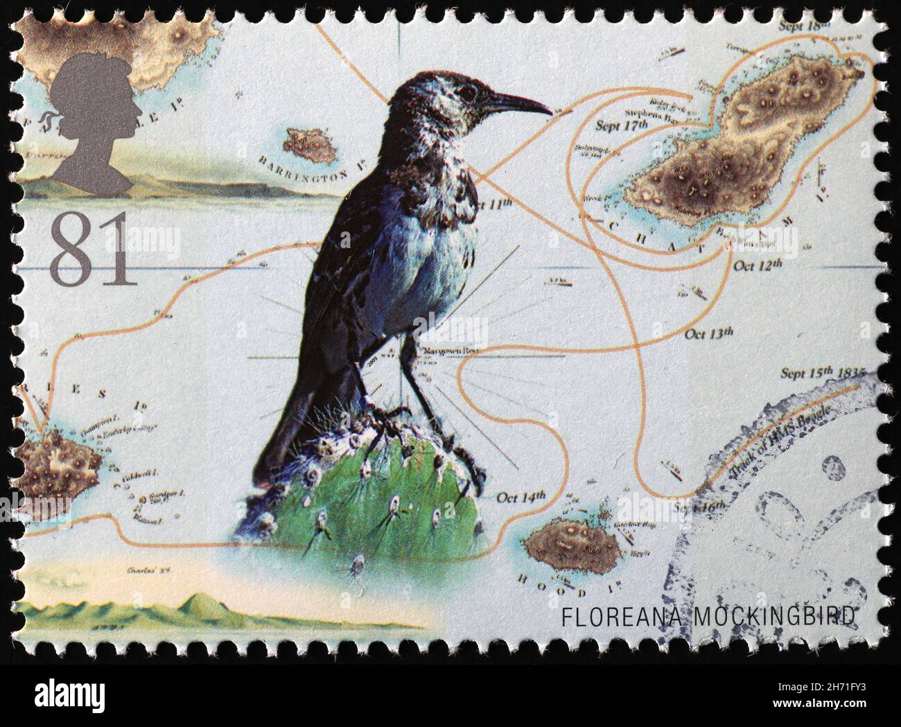 Floreana mockingbird on postage stamp of Galapagos islands Stock Photo ...