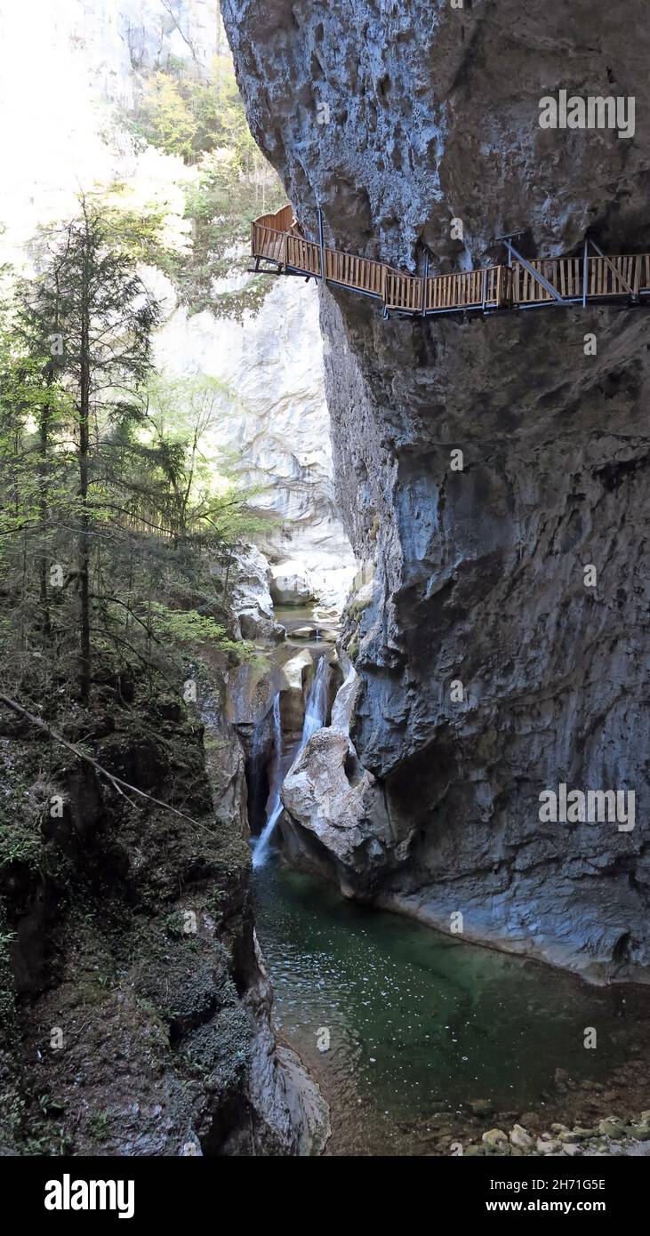 Horma Canyon is one of the many canyons in the Küre Mountains National ...
