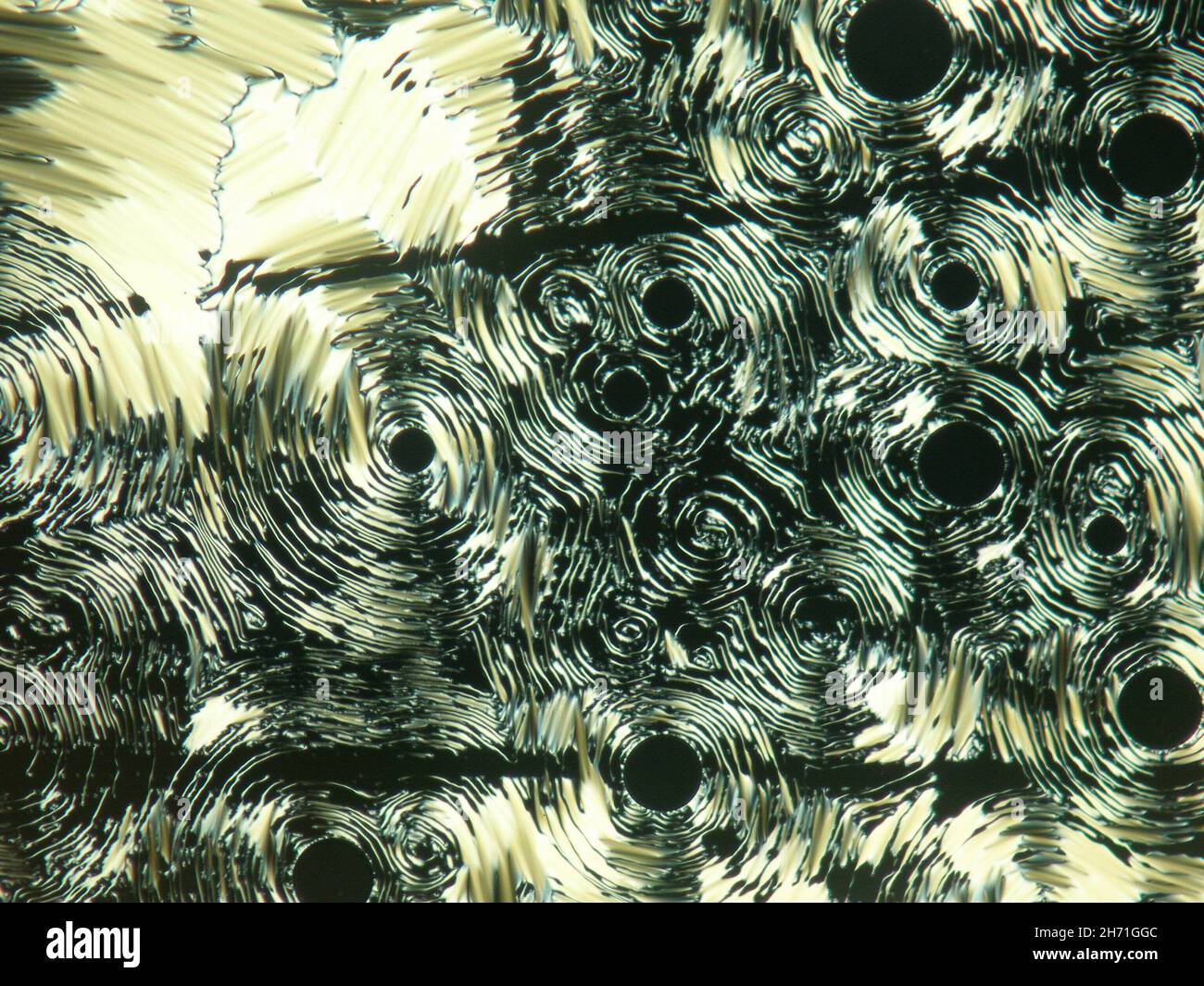 Macro shot of liquid crystal under the polarized light microscope Stock ...