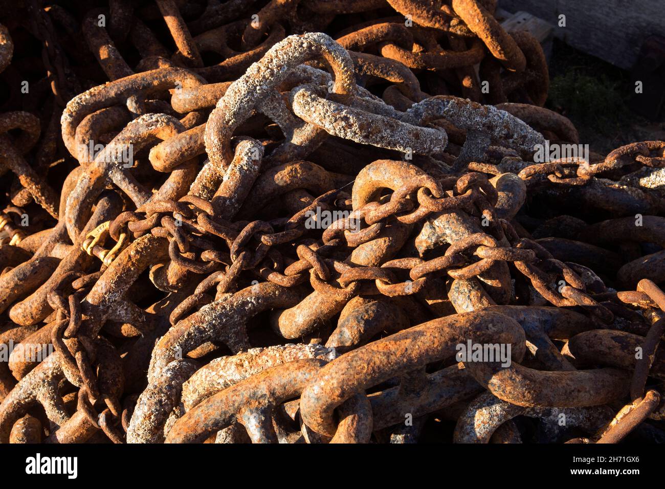 Rusty old anchor chains make an interesting study of colour and texture ...