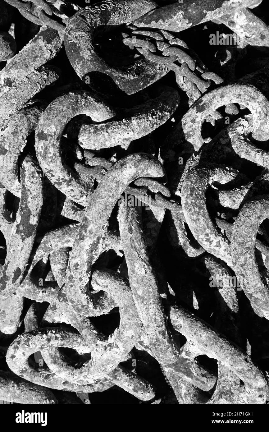 Rusty old anchor chains make an interesting study of colour and texture ...