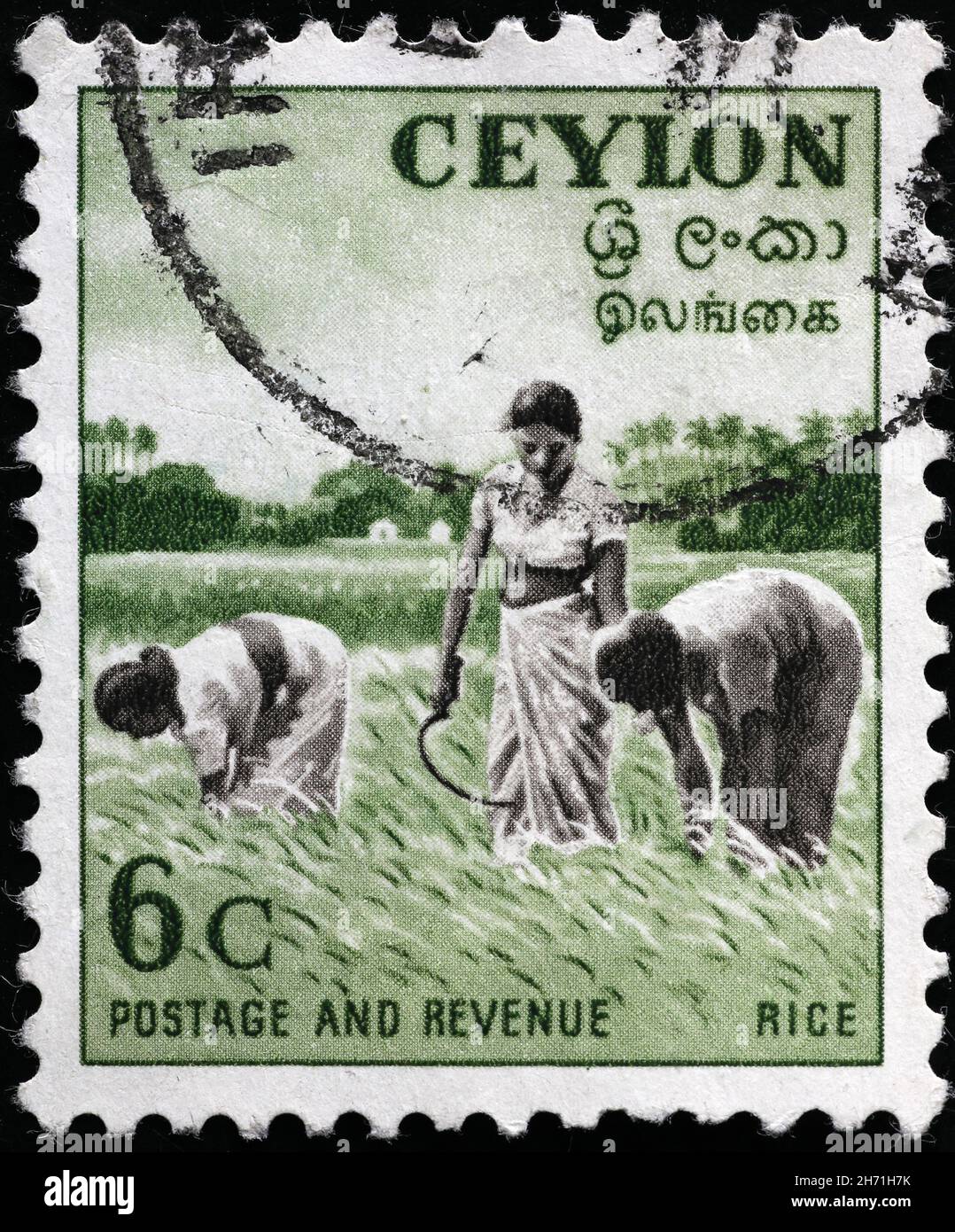 Ceylon postage stamp hi-res stock photography and images - Alamy