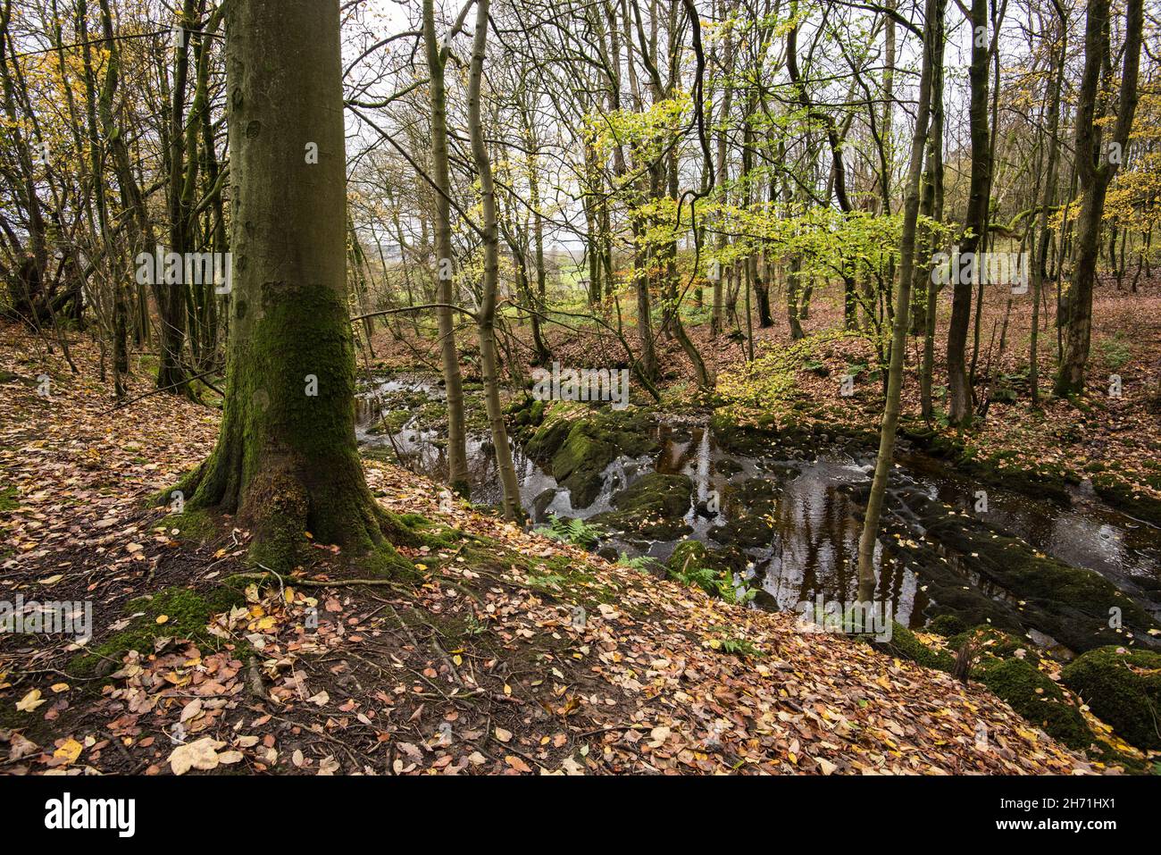 Horton beck hi-res stock photography and images - Alamy