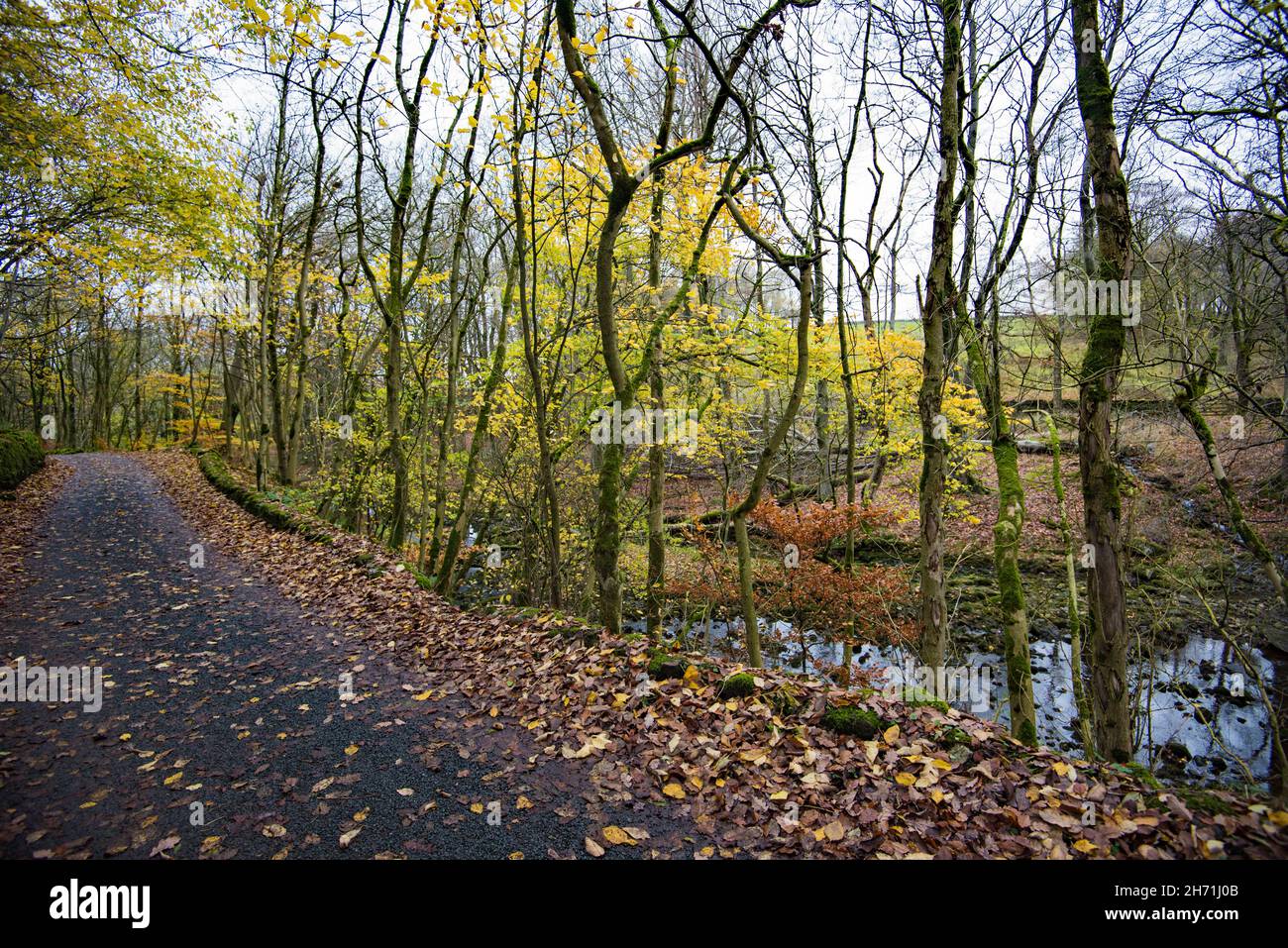 The road to bracken bottom horton hi-res stock photography and images ...
