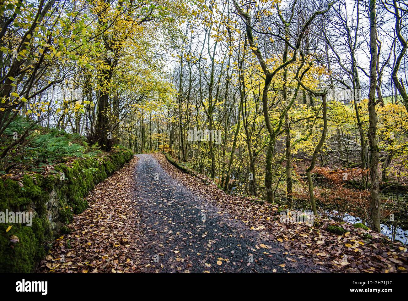 The road to bracken bottom horton hi-res stock photography and images ...