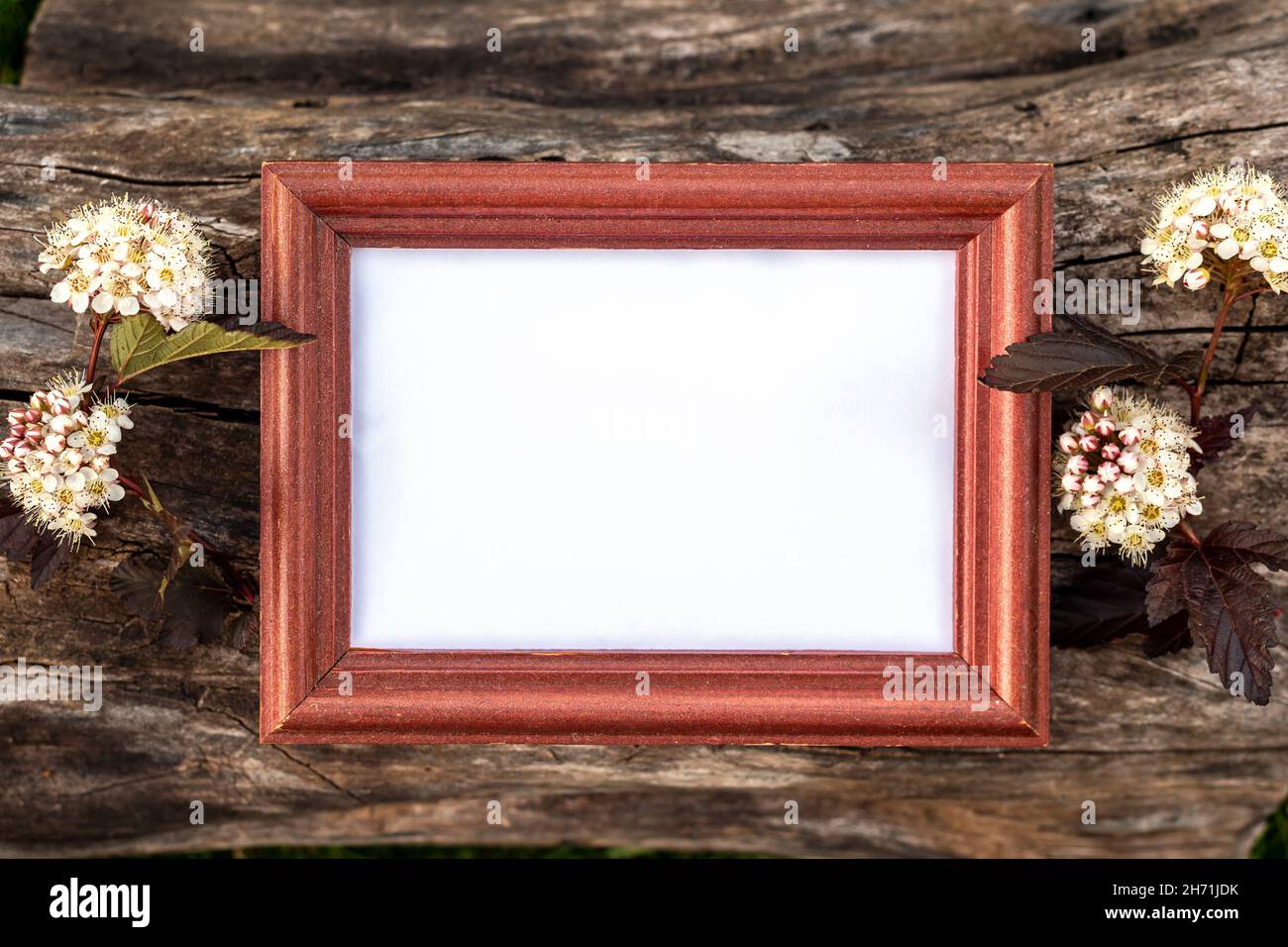 Paper in frame and gentle white flowers on rustic table Stock Photo - Alamy