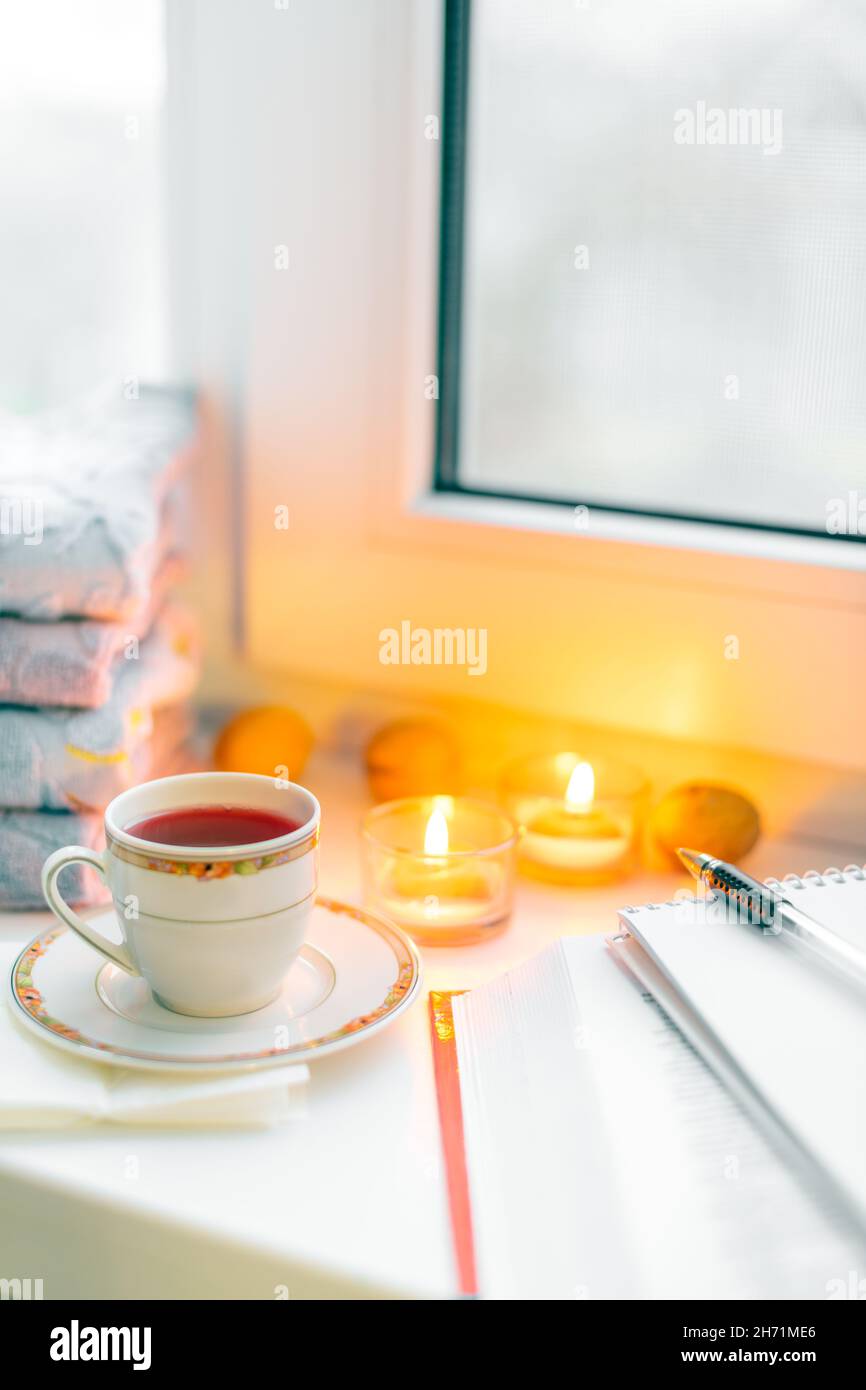 reading a book by the window with plans for the future with a cup of ...