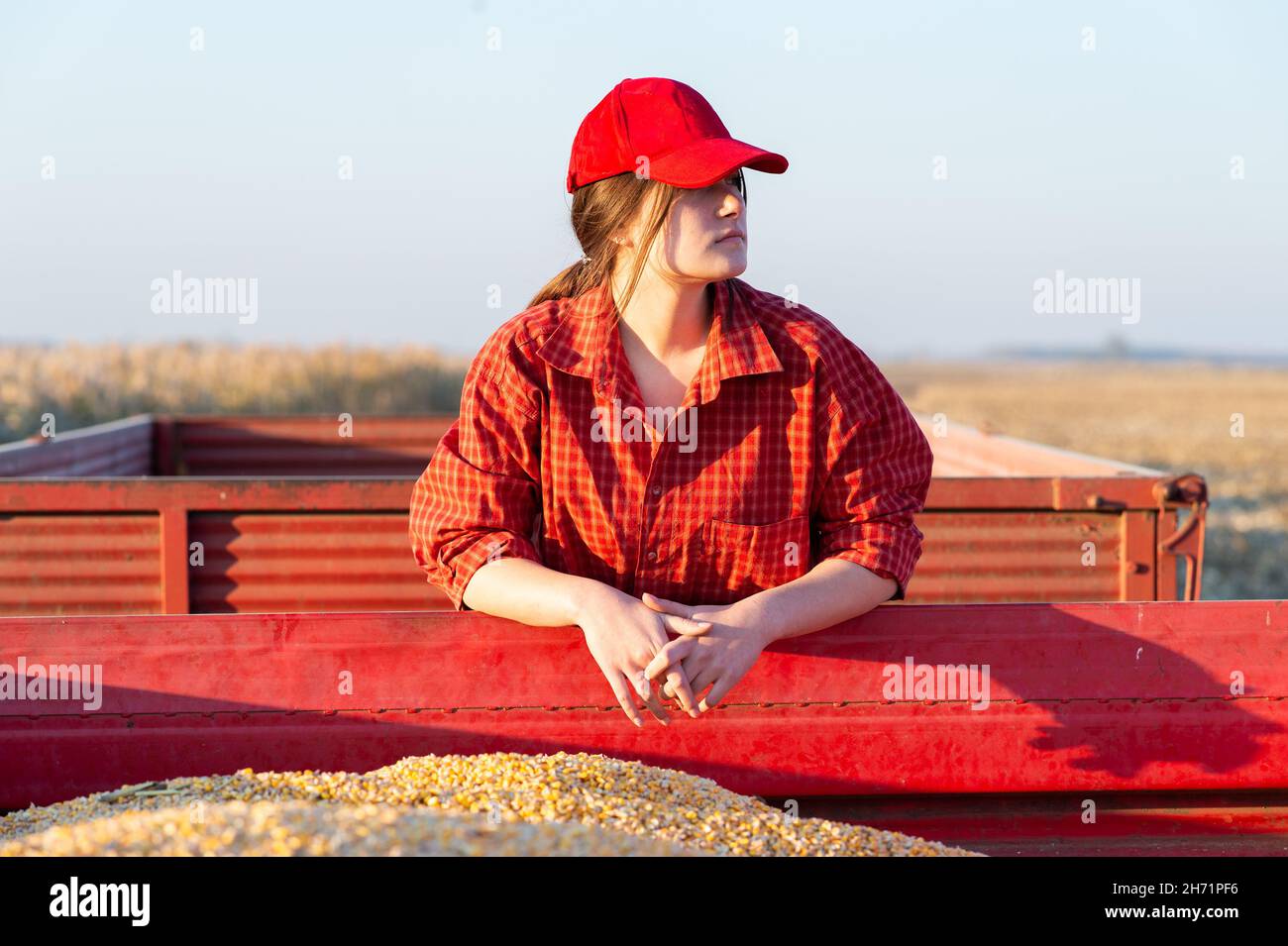 Girl farmer watches a grain corn during the harvest Stock Photo - Alamy