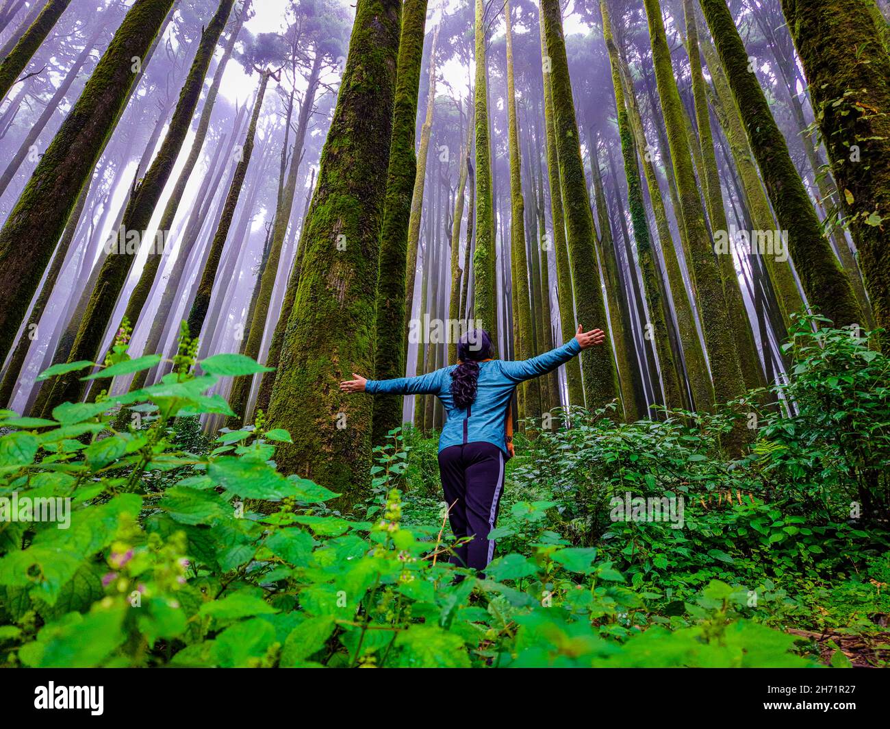 young girl at pine tree forest with white defused fog background at ...