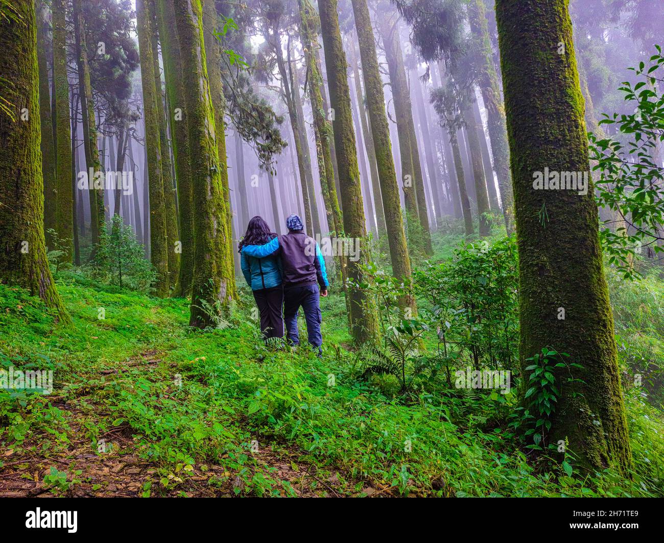 young couple hiker at pine tree forest with white defused fog ...