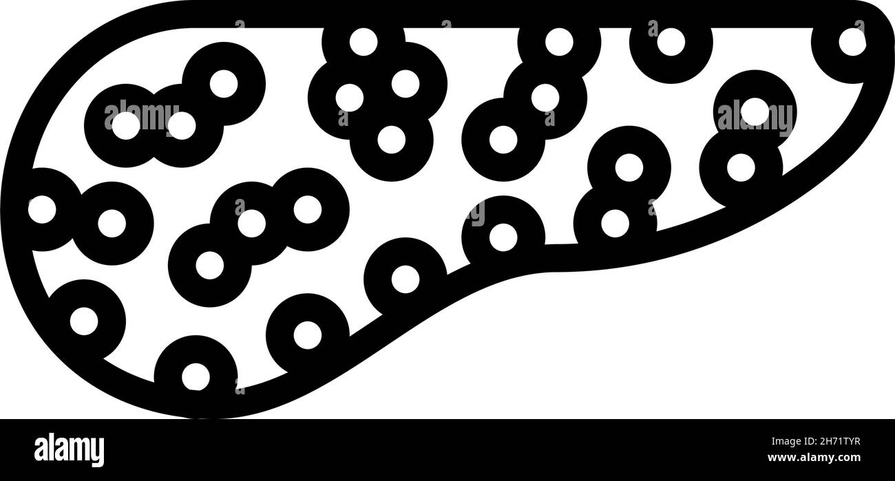 pancreas human line icon vector illustration Stock Vector Image & Art ...