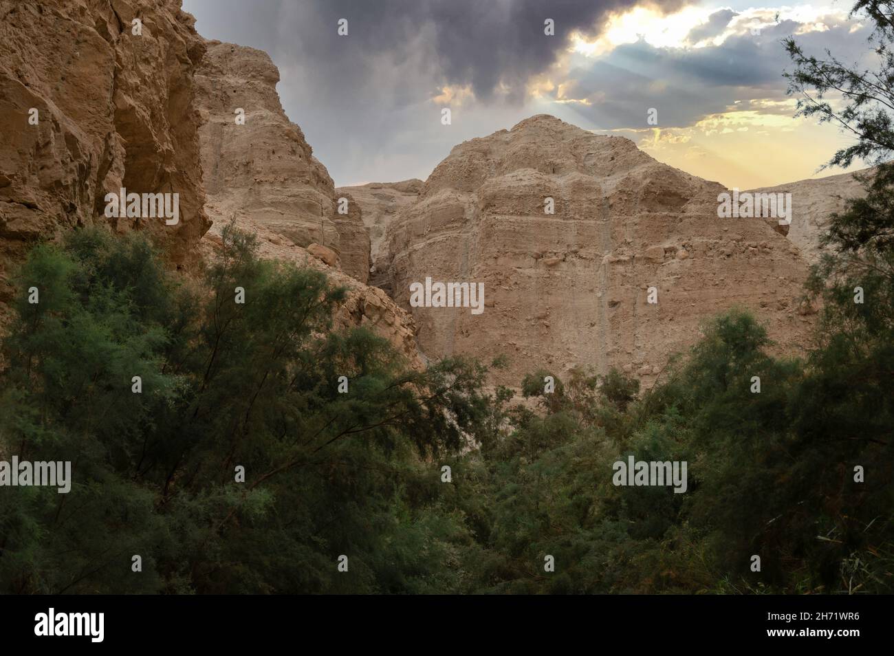 Mountain landscapes in the river canyon in the Judean desert in Israel ...