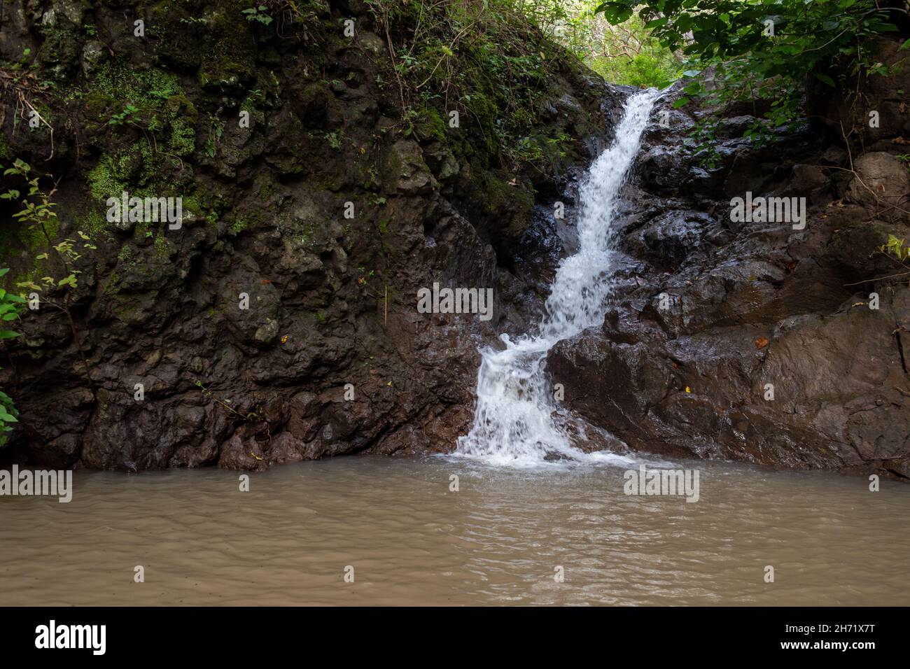 Beautiful view of a waterfall flowing in a river in a forest in Sierra ...