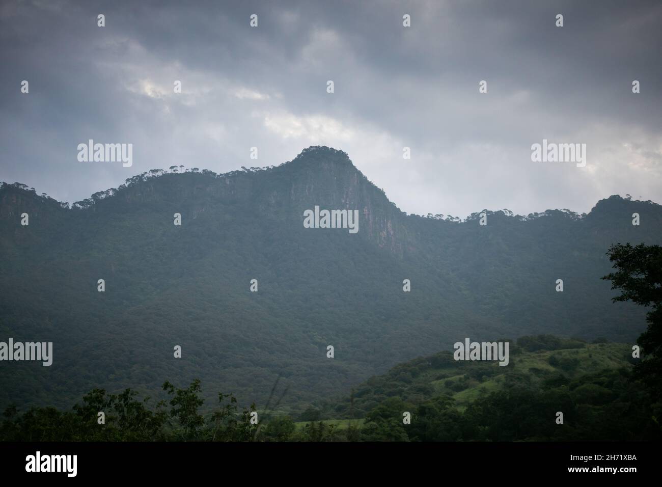 Beautiful mountainous landscape with greenery in Sierra de Manantlan ...