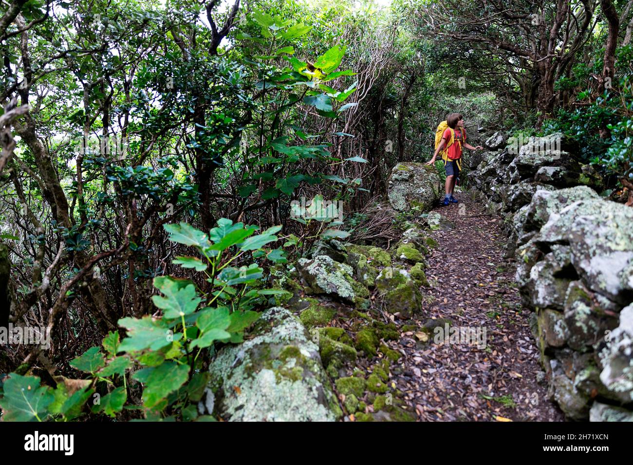 Boy hiking on the trail to Vigia Faja Grande, old whalers' lookout on ...