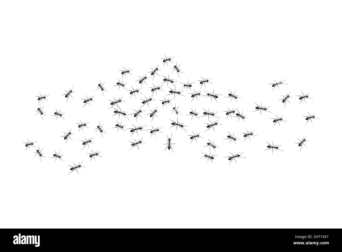 A colony of worker ants.Sketch drawing.Red ants paving the way to their ...