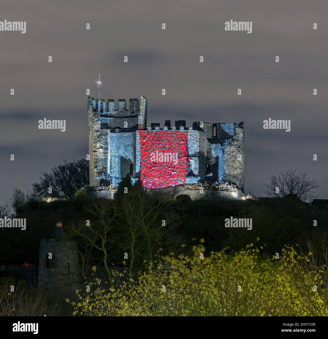 Night shot of poppies cascading down Dudley Castle in special ...