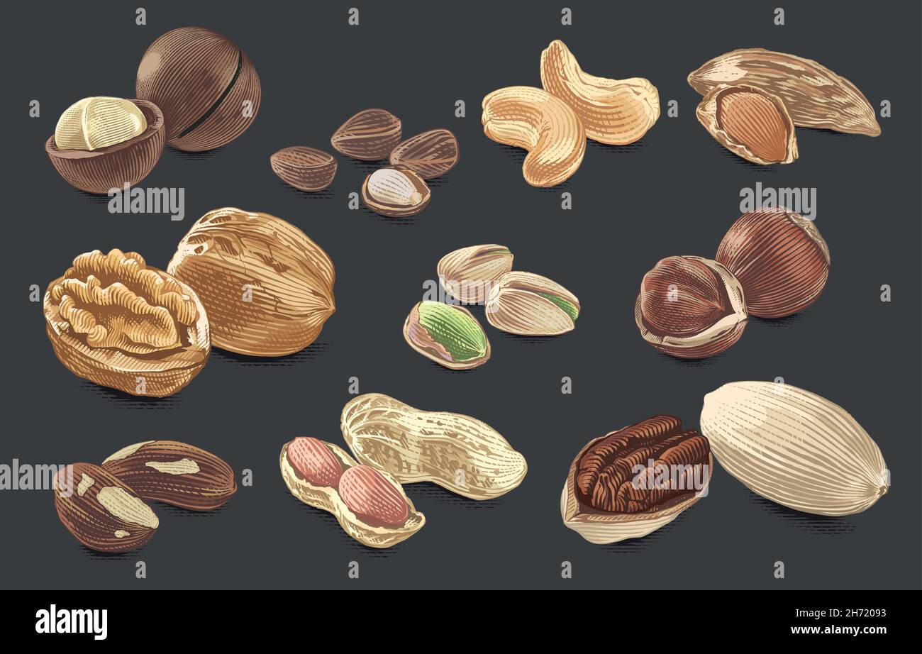 nut set collection Hand drawing sketch engraving watercolor ...