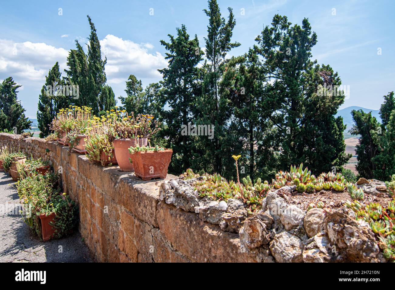 Beautiful terrace garden landscape Stock Photo - Alamy