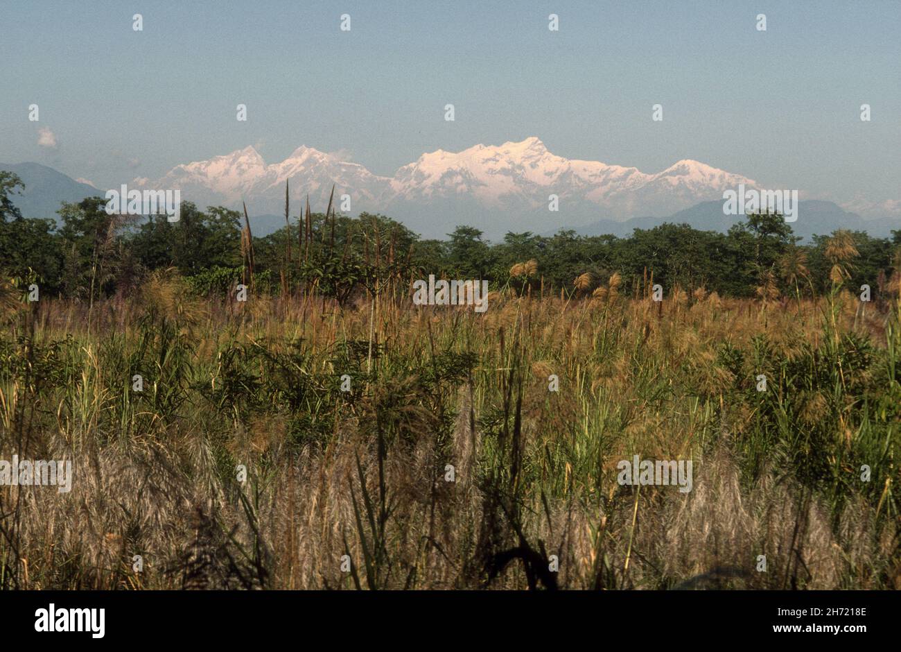 Typical himalayan hi-res stock photography and images - Alamy