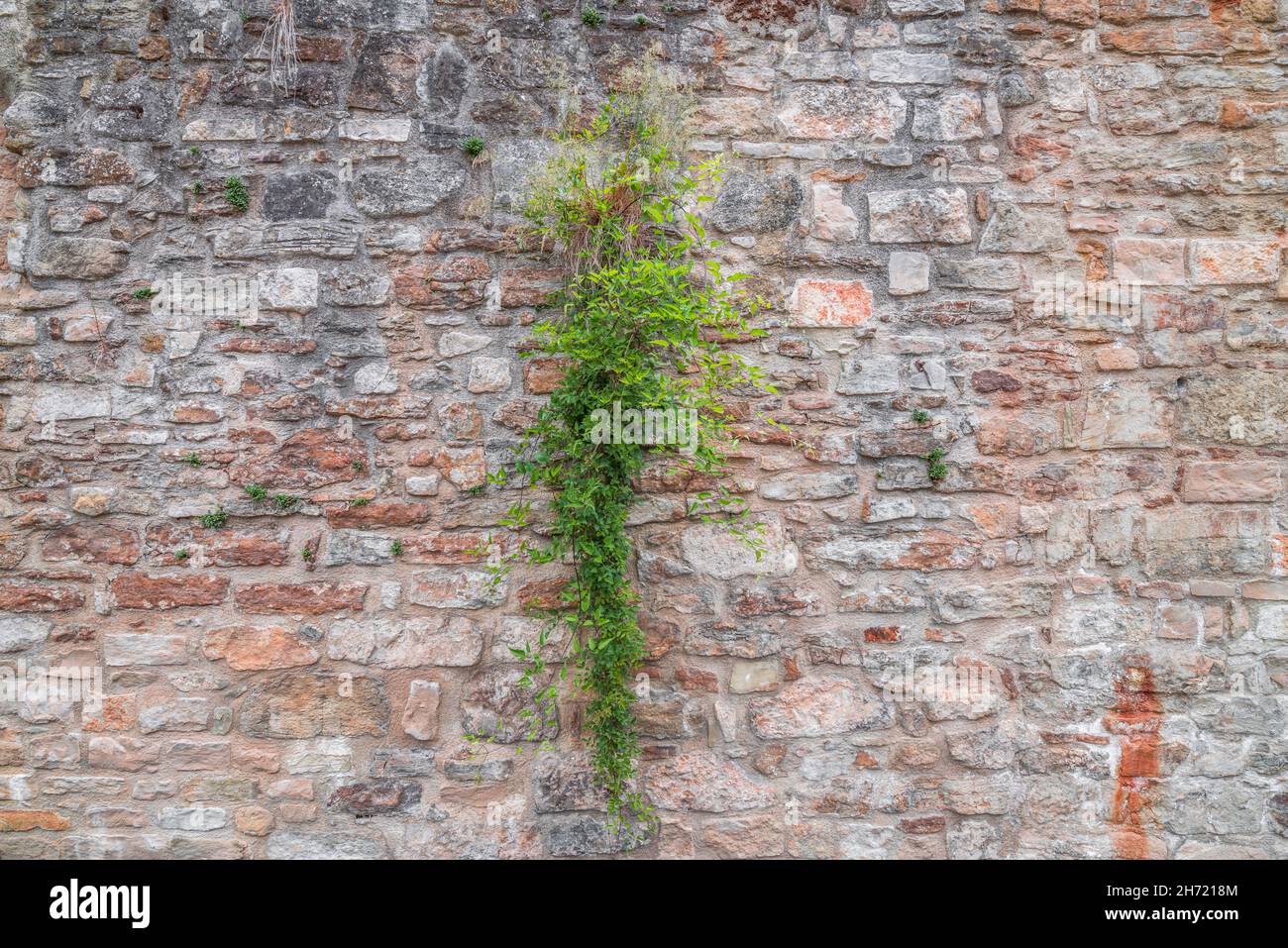 Water gutter stone on an old medieval masonry stone wall stone wall ...