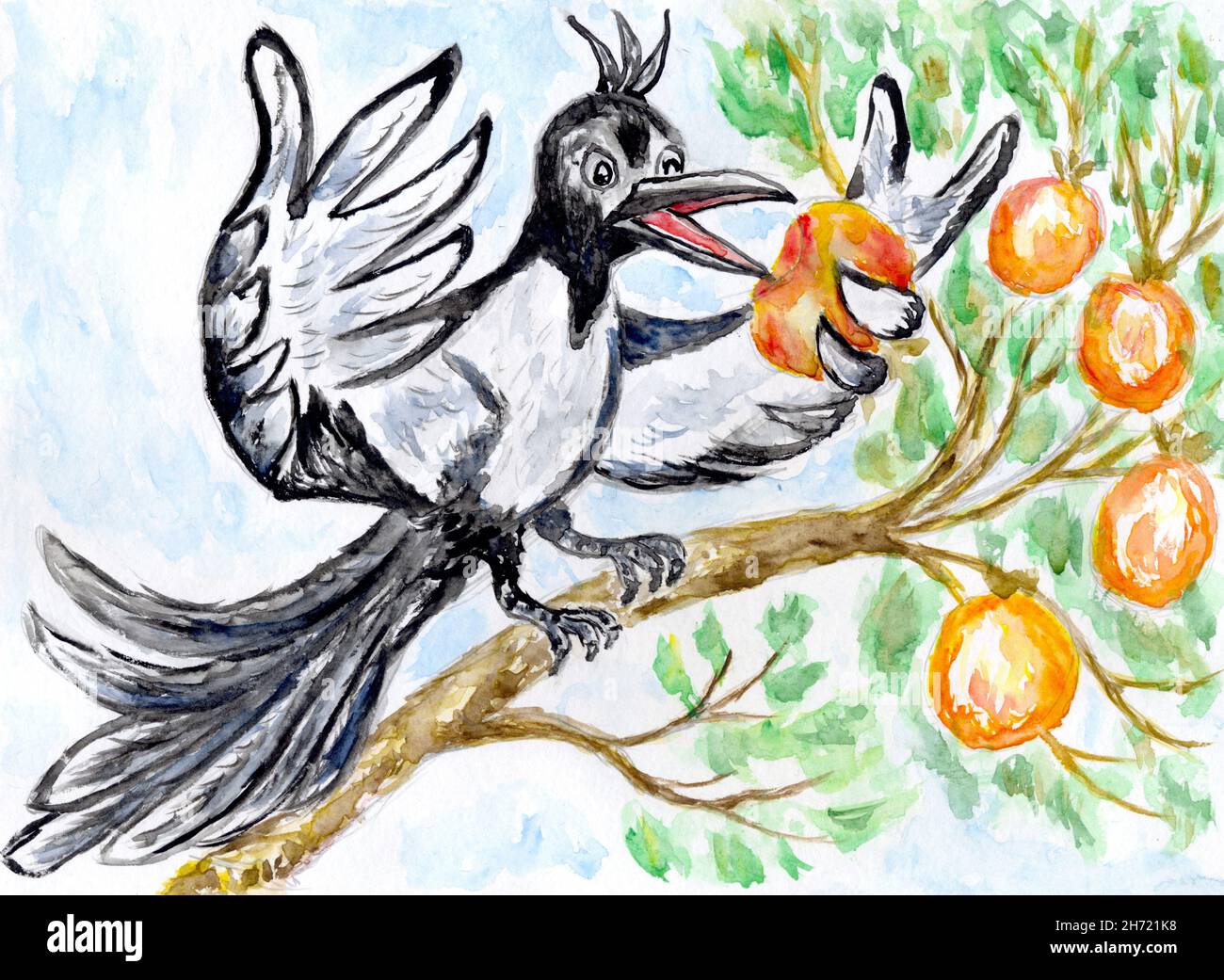 Magpie illustration abstract hi-res stock photography and images - Alamy