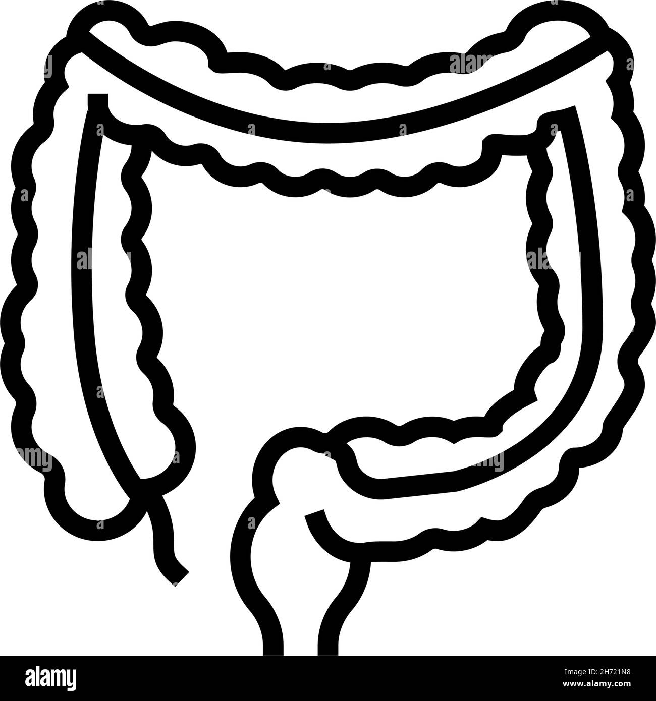 Human Digestive System Illustration Stomach Colon Liver Black and White ...