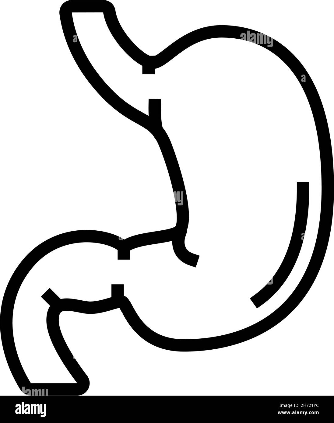 stomach human organ line icon vector illustration Stock Vector Image ...