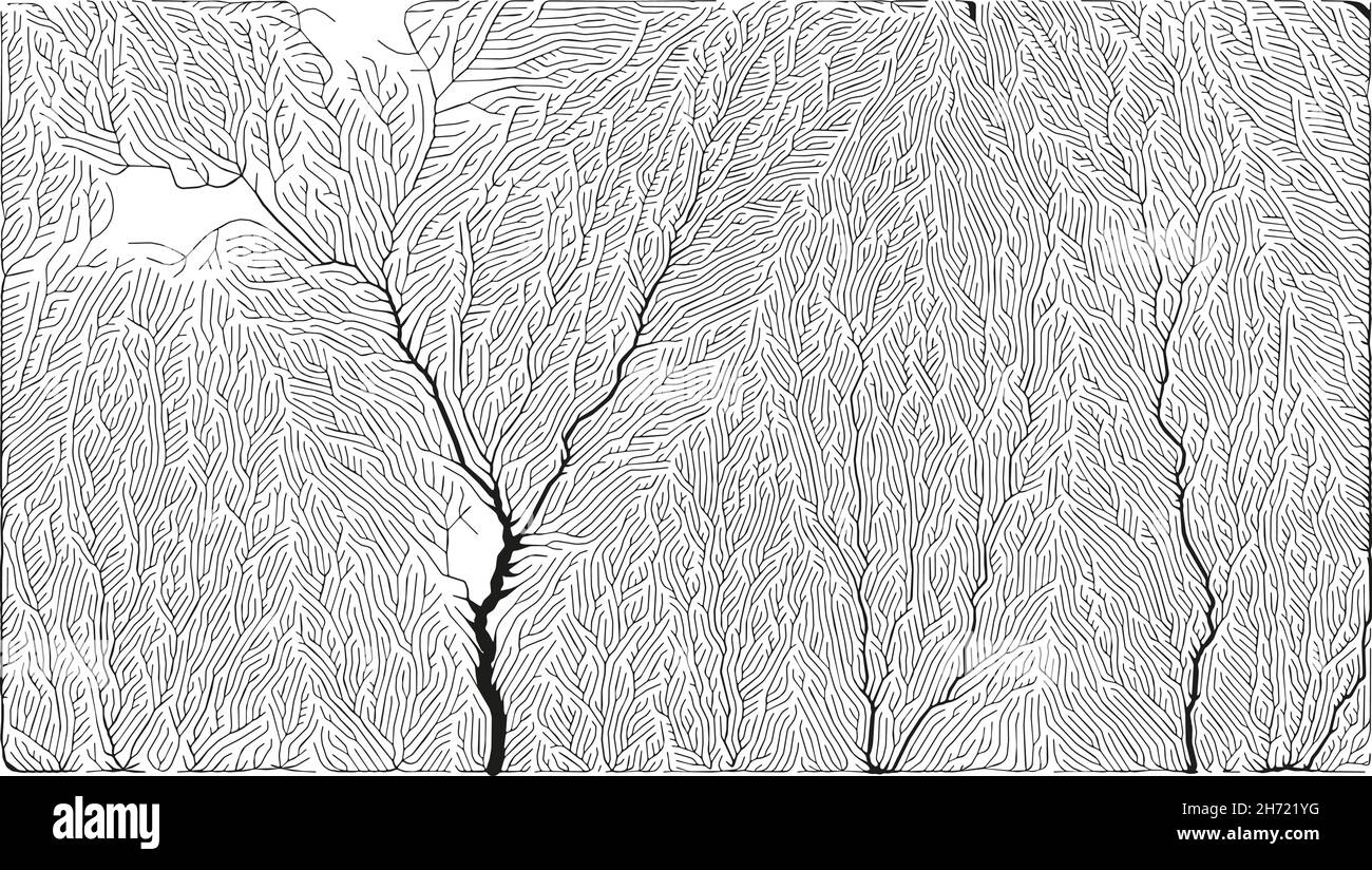 Growth pattern. Generative branching structure. Organic net of vessels ...
