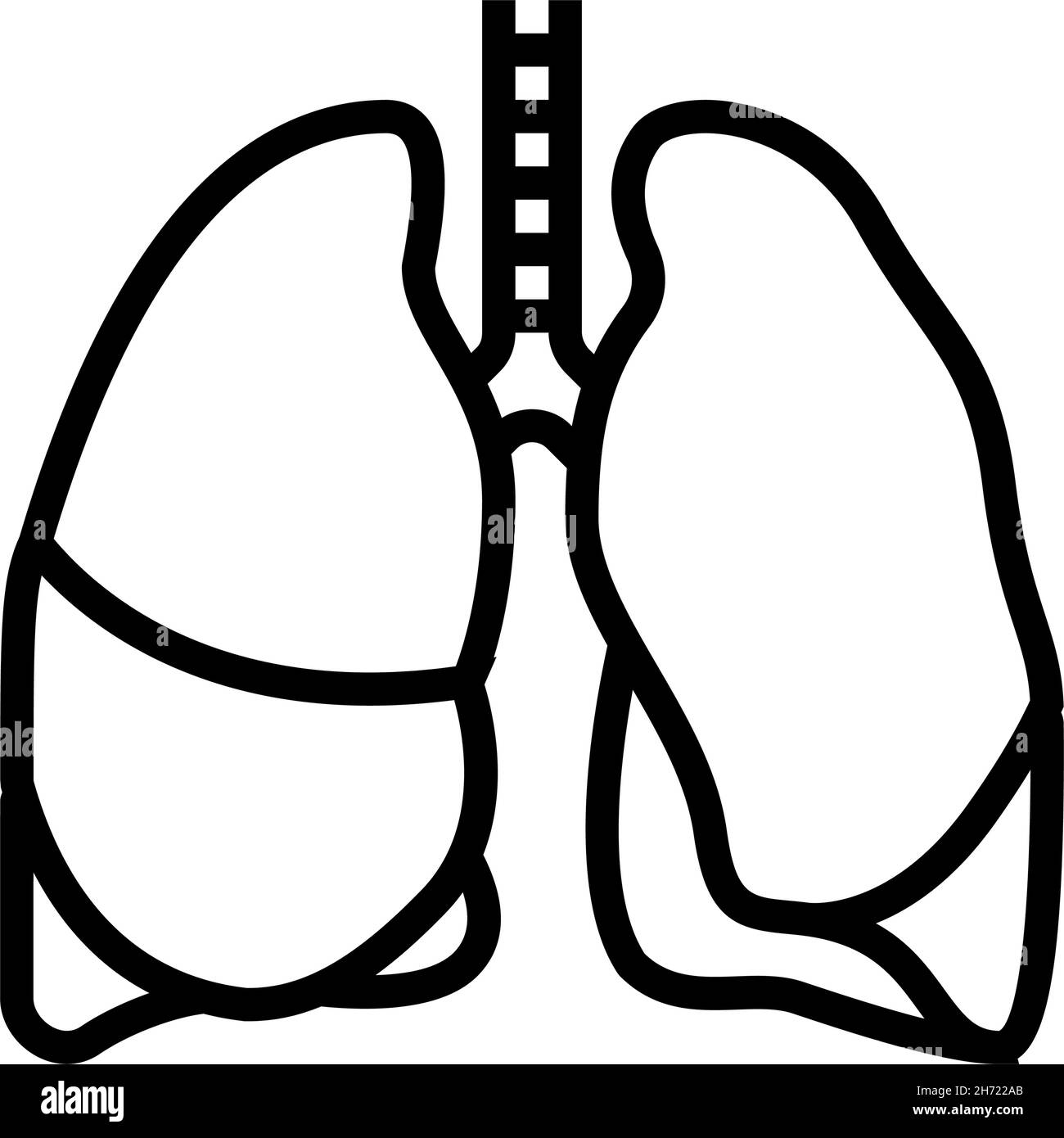 lung human organ line icon vector illustration Stock Vector Image & Art ...